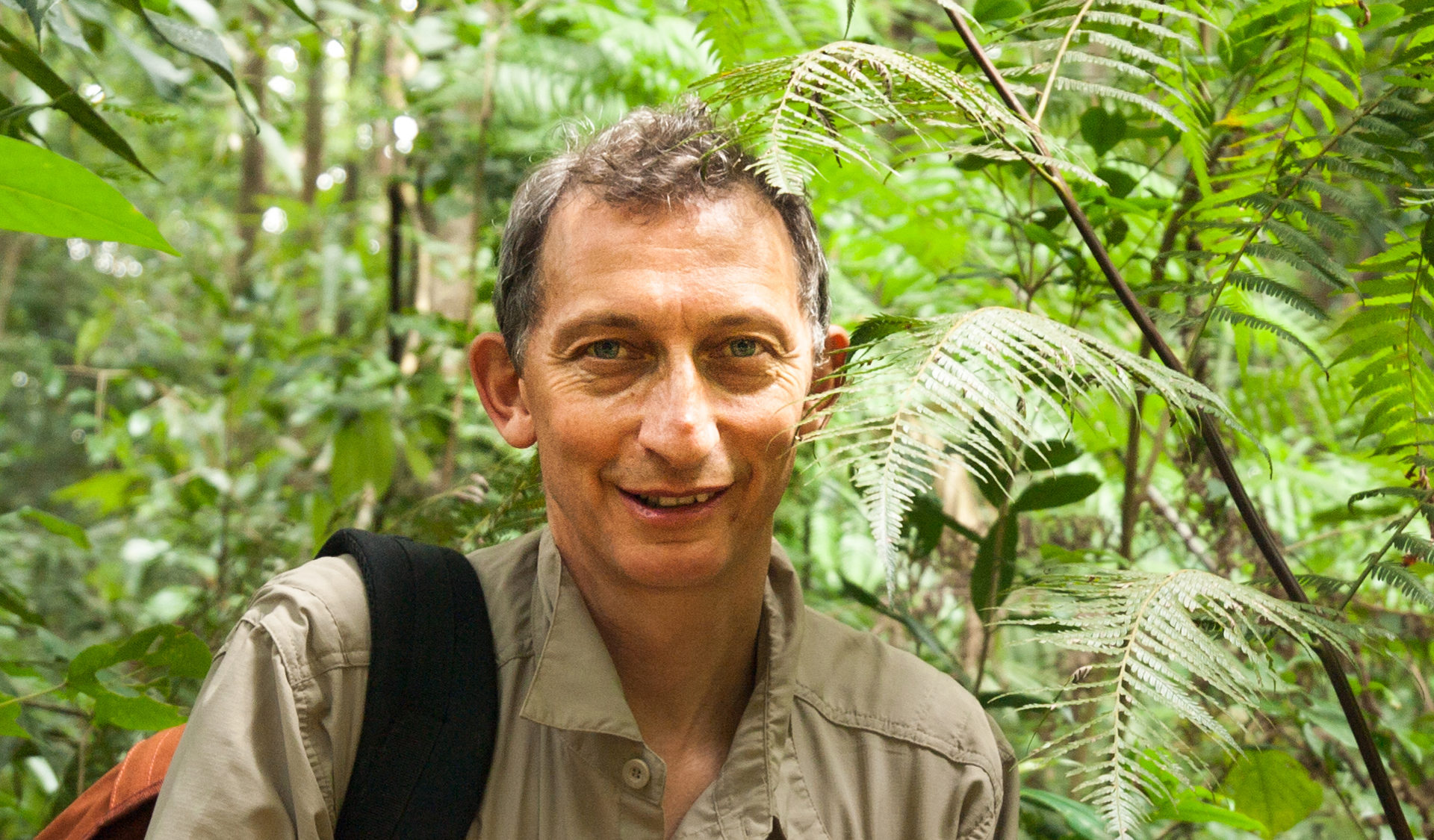 Around the World in 80 Trees: an Illustrated Odyssey • Words • Kings Place